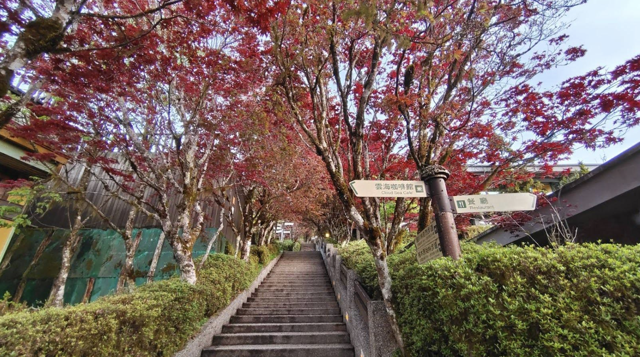 賞楓景點推薦｜楓葉季節時間？台灣楓葉哪裡有？全台賞楓秘境！ - HouseFeel 房感